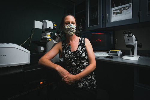 Melissa Rolls honored with 2021 Graduate Program Chair Leadership Award ...